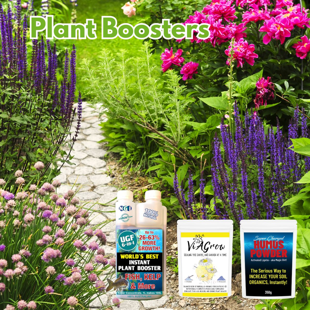 Explore Top Plant Boosters for Optimal Growth | NGI Institute – Natural ...