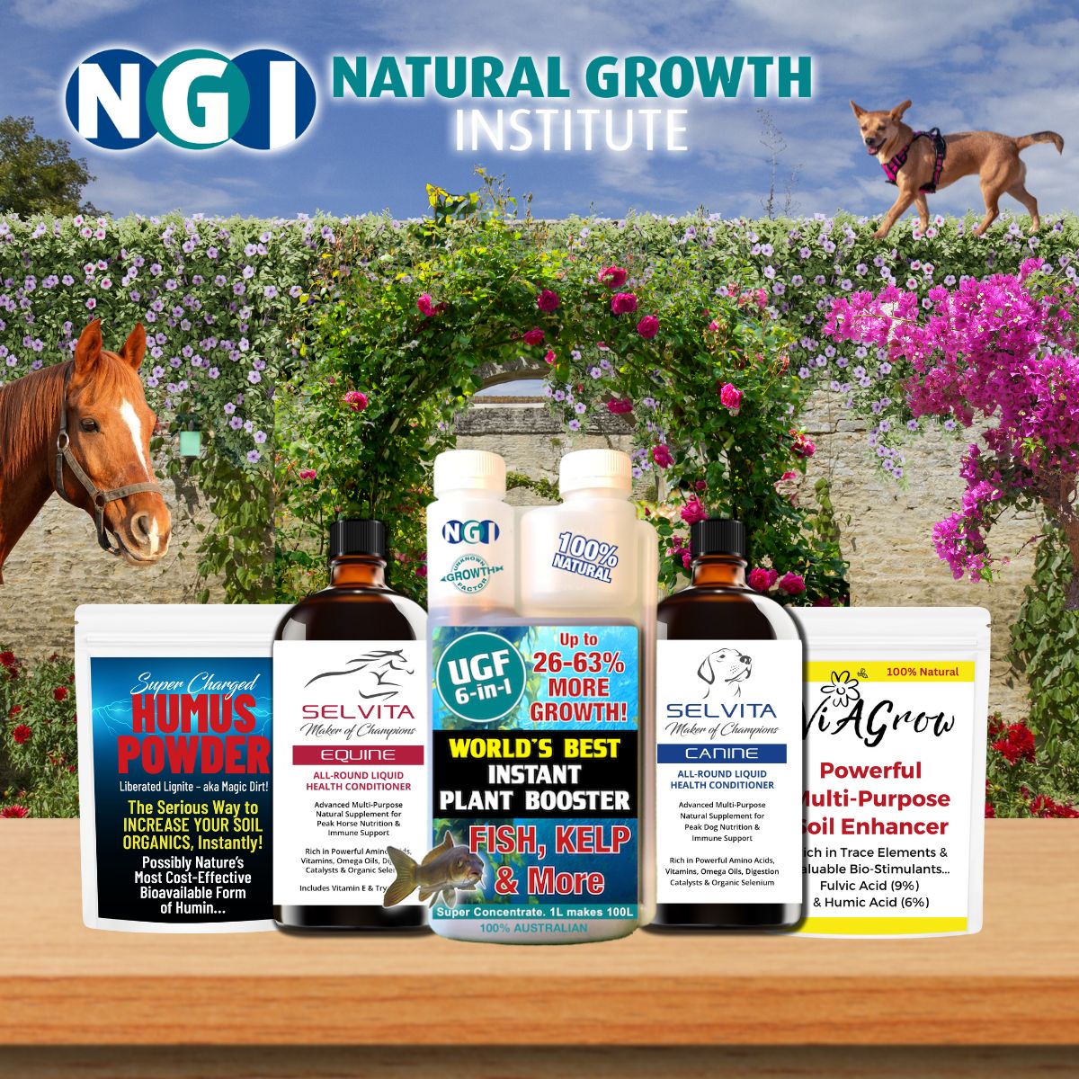 Premium Humus Powder for Enhanced Soil Fertility | NGI institute ...